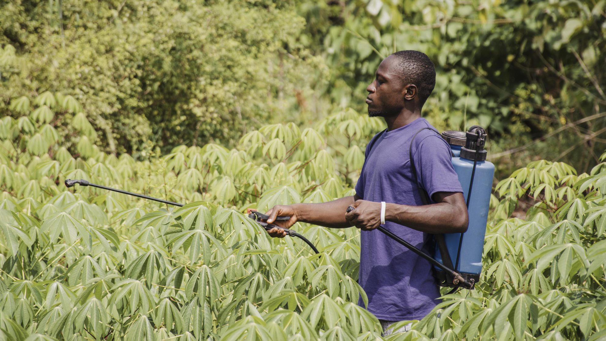 Safe Pesticide Handling, Storage, and Disposal - EnviroScope.org.za